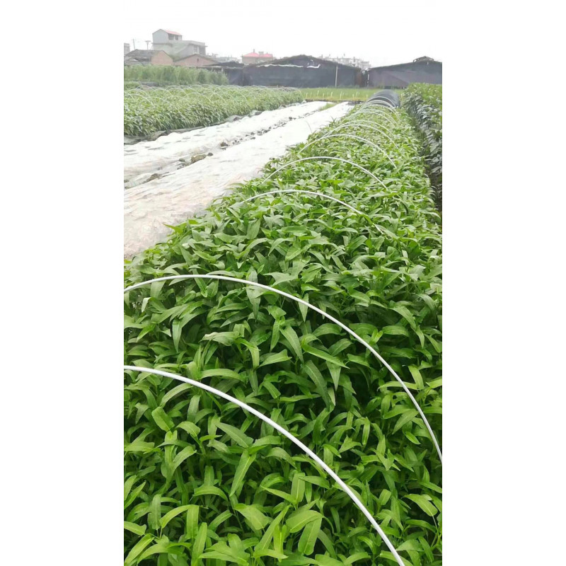 10 of 8mm * 2300mm Fibreglass Rods