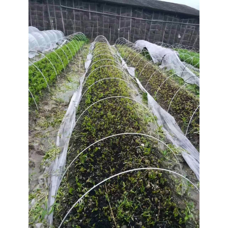 20 of 8mm * 2300mm Fibreglass Rods