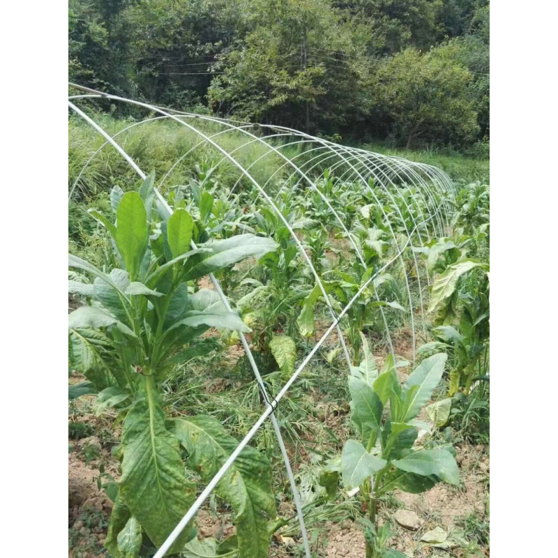 50 of 8mm *2300mm Fibreglass Rods