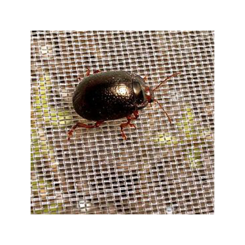 1.5m*1.5m*2m Insect net bag
